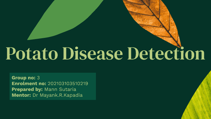 Potato Disease Detection Using Machine Learning By Mann Sutaria On Prezi