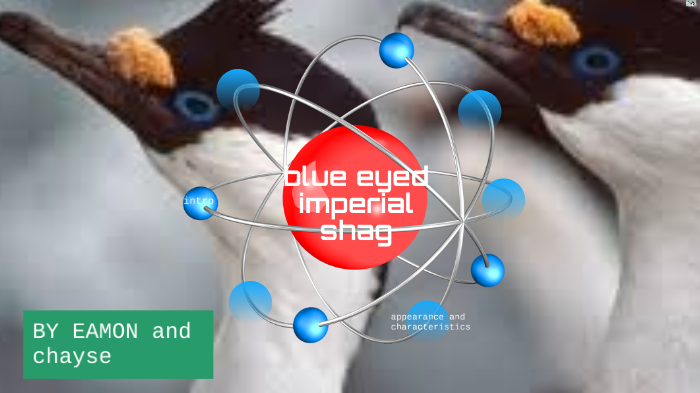 blue eyed empirial shag by reverse gamez on Prezi