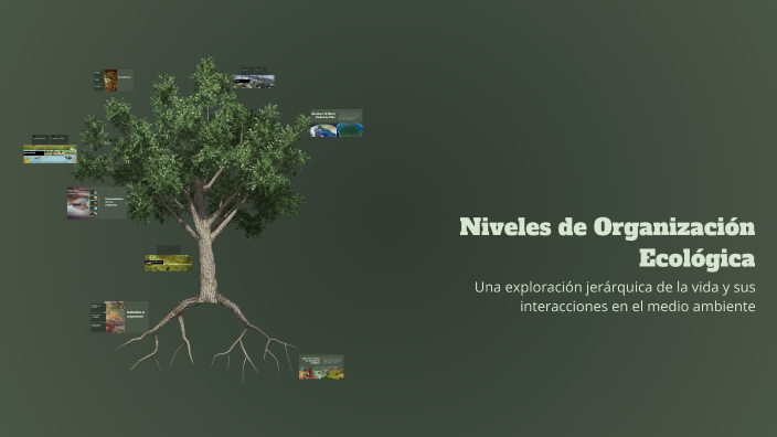 Niveles de Organización Ecológica by Yuleysi maribel Uribe ogando on Prezi