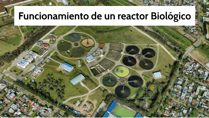 Reactor Biologico by Javier Gonzalez on Prezi