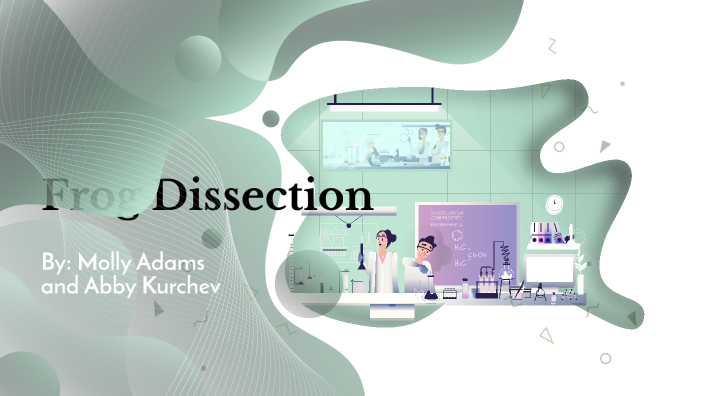 Frog Dissection by Molly Adams on Prezi