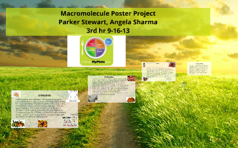 Macromolecule Poster Project by angela sharma on Prezi