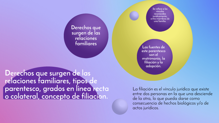 derechos que surgen de las relaciones familiares, los tipos de ...