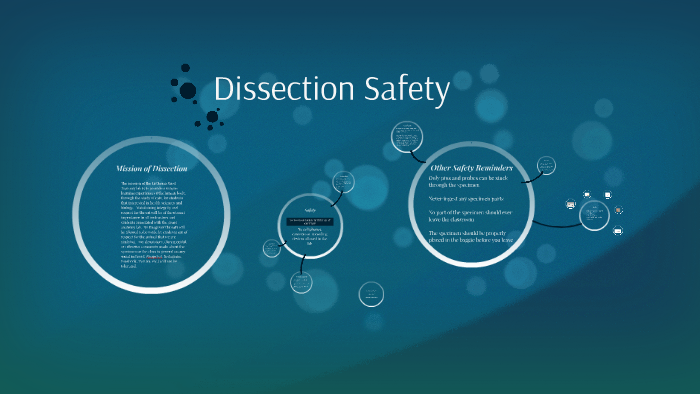 Dissection Safety by Mia Pauluhn on Prezi