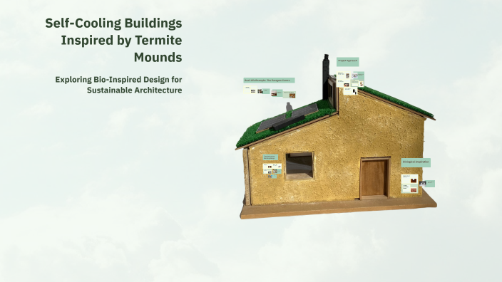 Self-Cooling Buildings Inspired by Termite Mounds by Abhishek Hosmani ...