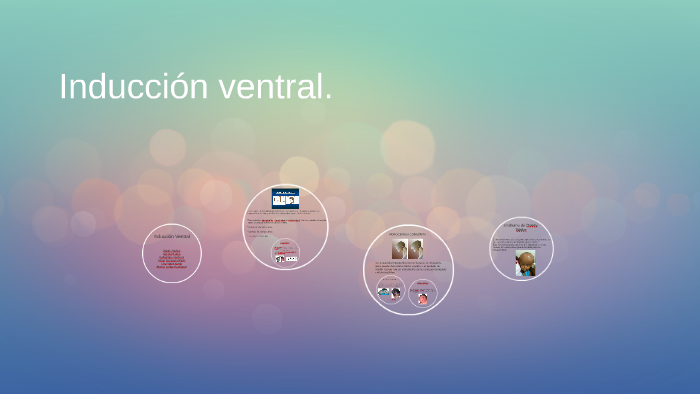 INDUCCIÒN VENTRAL by Lina Marin on Prezi
