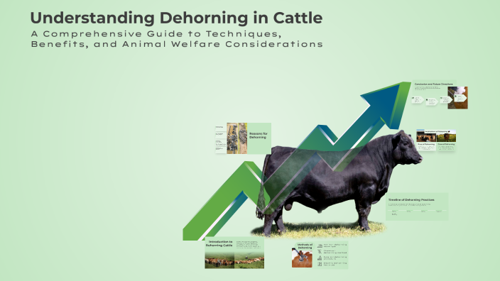 Understanding Dehorning in Cattle by Eli Loy on Prezi