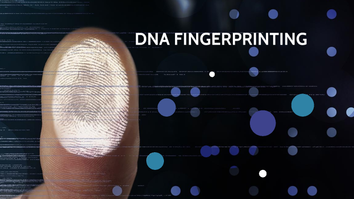 DNA Fingerprinting by aurora bianchini on Prezi