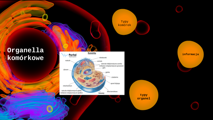Organella komórkowe by Владислав Цапар on Prezi