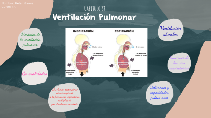 Capitulo 38 Ventilación Pulmonar by Helen Lizeth Gaona Jimenez on Prezi