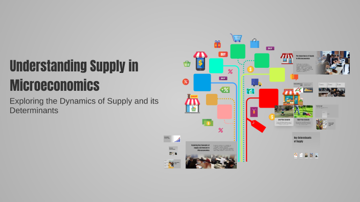 Understanding Supply in Microeconomics by GERRIT VAN DER WESTHUIZEN on ...