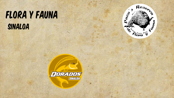 Flora y Fauna Sinaloa by Rodrigo de la O de la Cruz on Prezi