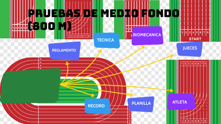 Prueba de Medio Fondo (800 m) by NELSON CHAMPI HUAMAN on Prezi