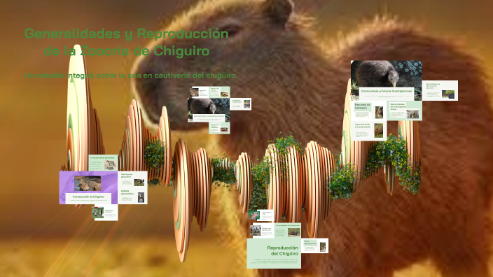 Generalidades y Reproducción de la Zoocría de Chiguiro by mayra castro ...
