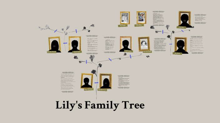 Lily's Family Tree by Hana Abdelrazek on Prezi