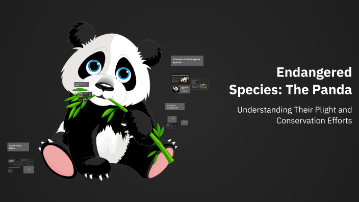Endangered Species: The Panda by toumi adem on Prezi