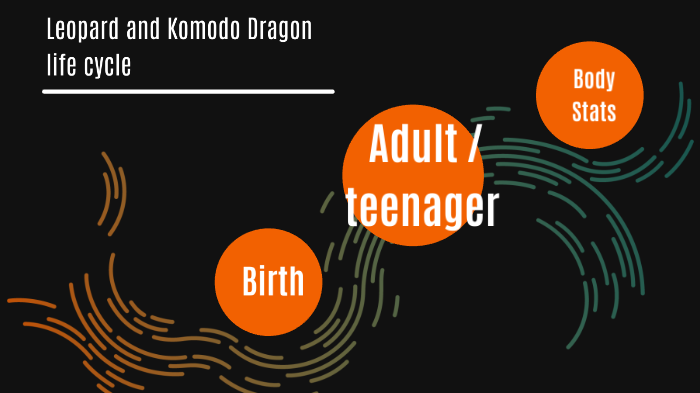 Leopard And Komodo Dragon Lifecycle by Heskin 123 on Prezi