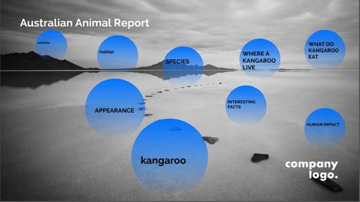 Australian Animal Report by hayden whitenack on Prezi