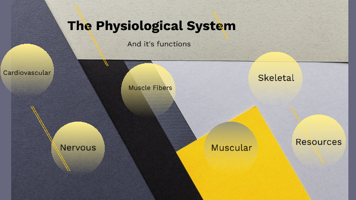 Functions of the Physiological System by Ben Evans on Prezi