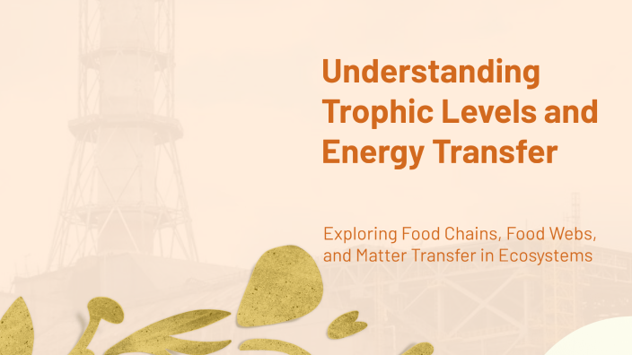 Understanding Trophic Levels and Energy Transfer by Sandra Loor on Prezi