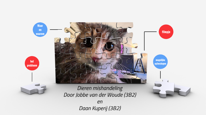 Dierenmishandeling by stijn van der woude on Prezi