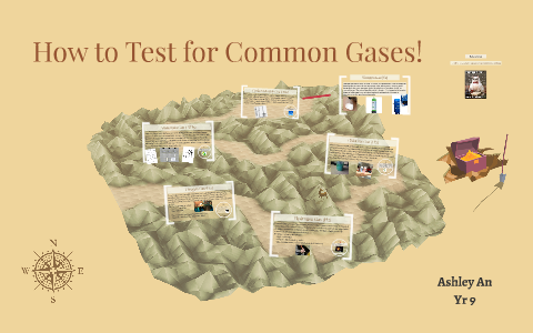 How to Test for Common Gases by Ashley A on Prezi
