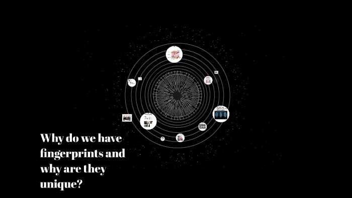 Why do we have fingerprints and why are they unique by Aleksandra ...
