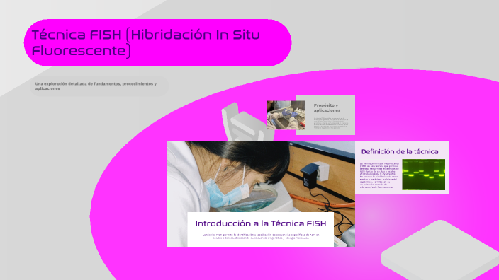 Técnica FISH (Hibridación In Situ Fluorescente) by Uykz on Prezi