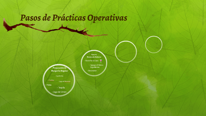 Prácticas Operativas by iosune medina calleros on Prezi