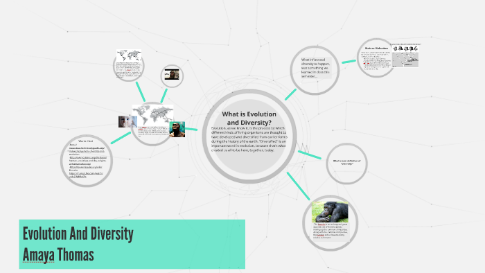 Evolution And Diversity by Amaya Thomas on Prezi