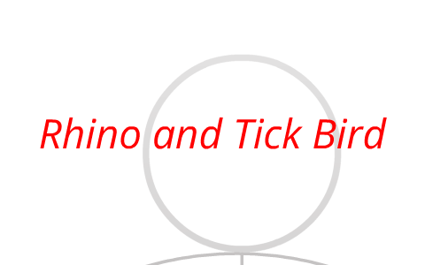 Tick bird and Rhino by Beth Deal on Prezi