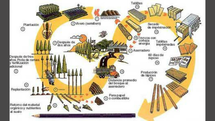 Cadenas Productivas y Balance de Materiales by Leon Mota on Prezi
