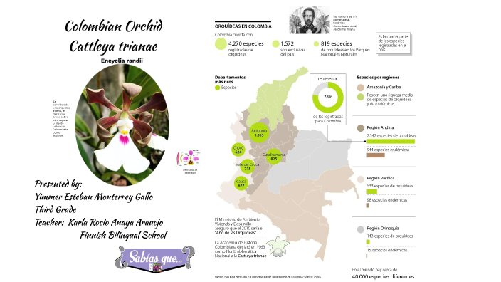 Orquídea colombiana Cattleya trianae by Claudia Jhoana Gallo Nieves on ...