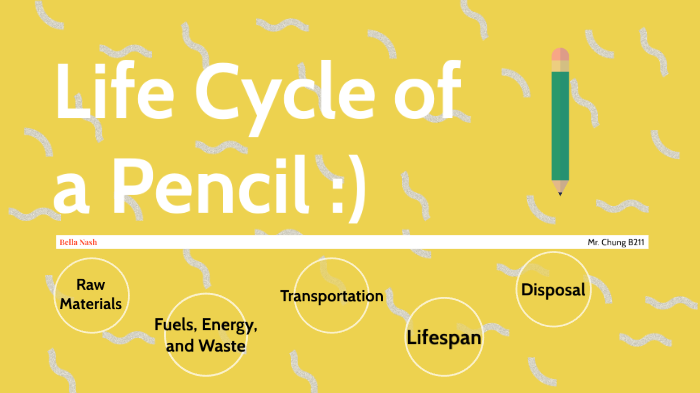 Life Cycle of a Pencil by bella nash on Prezi