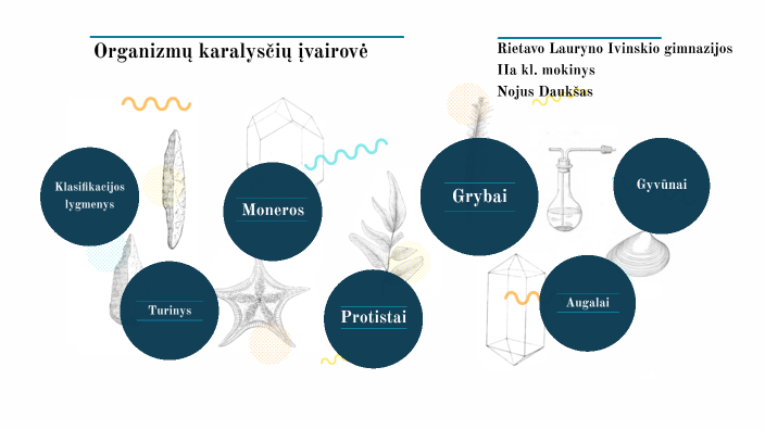 Organizmų karalysčių įvairovė - evoliucijos rezultatas by Nojus Daukšas ...