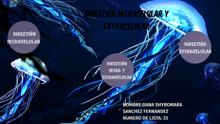 Digestión Intracelular y Extracelular by DANA SHYOMARA SANCHEZ ...