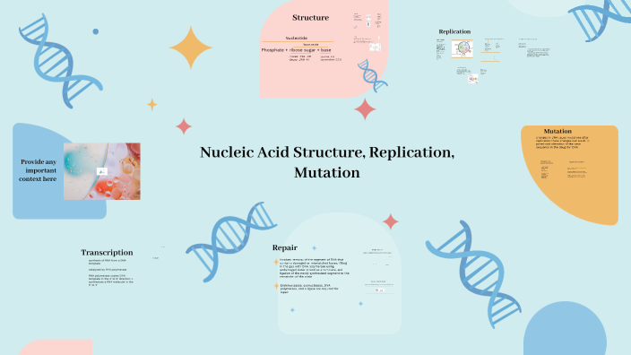 Nucleic Acid Structure, Replication, Mutation by Taylor Jarrett on Prezi