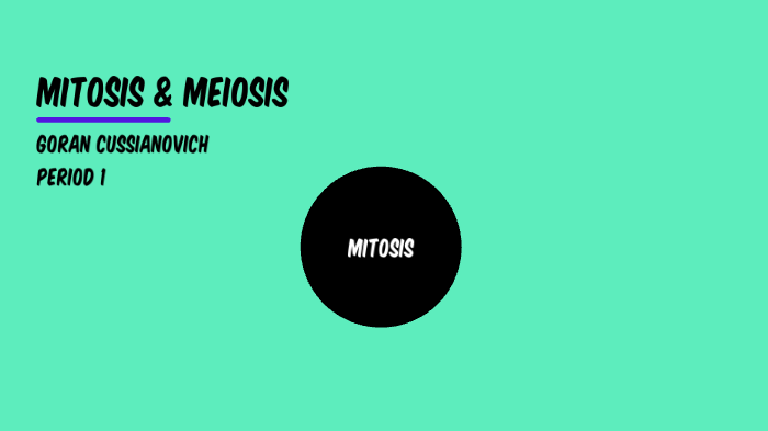 Mitosis & Meiosis Project by Goran Cussianovich on Prezi