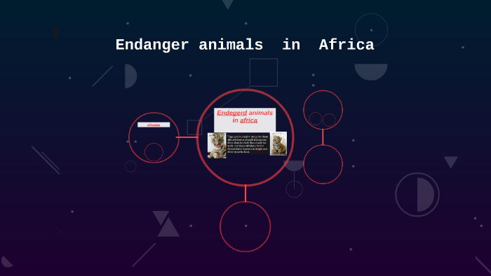 Endegerd animals in africa by muna abdulle on Prezi
