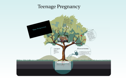 Teenage Pregnancy by Kalee Rider on Prezi