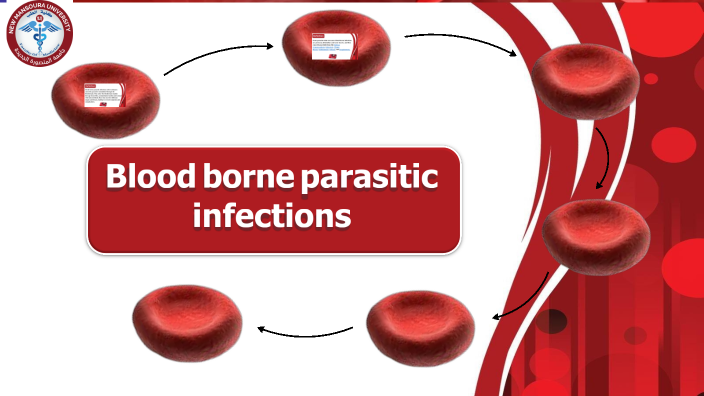 blood borne infections by adam moustafa on Prezi