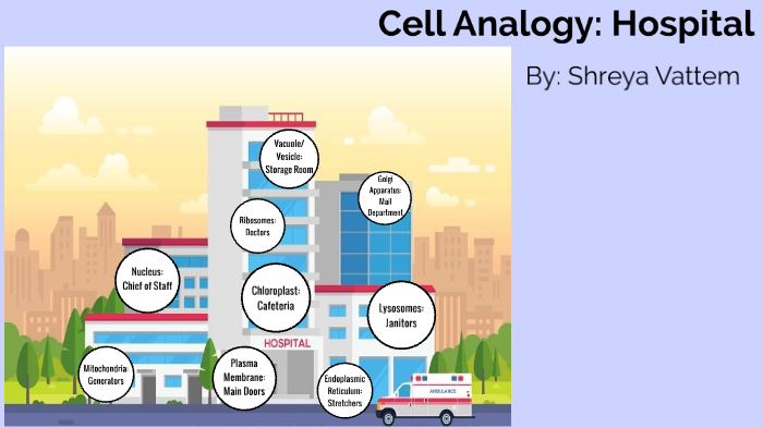 Cell Analogy: Hospital by Shreya Vattem on Prezi