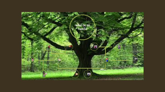 Family Tree by Chloe Schell on Prezi
