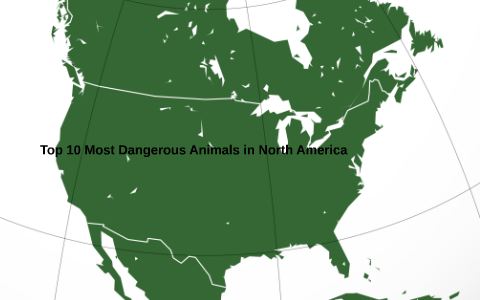 Top 10 Most Dangerous Animals in North America by Kiley Majette on Prezi