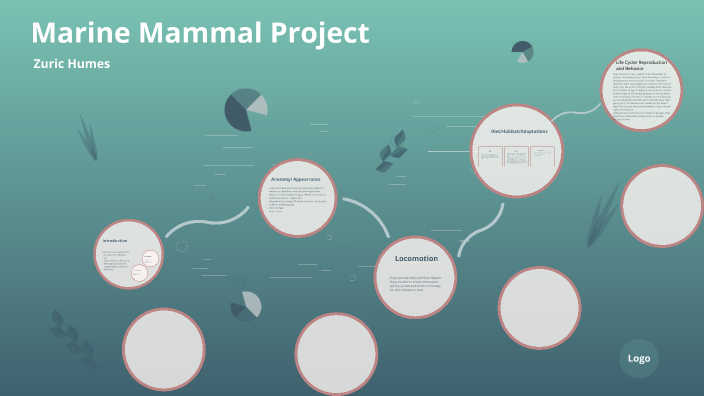 Marine Mammal Project by Zuric Humes on Prezi
