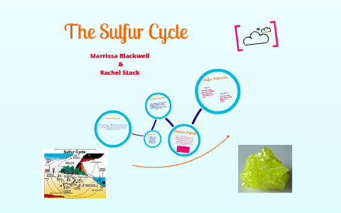 Sulfur Cycle Project by Marrissa Blackwell on Prezi