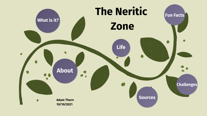Netric Zone by Adam Thorn on Prezi