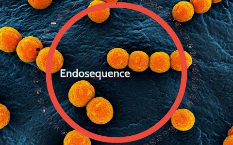 Endosequence by Eric Ruiz on Prezi