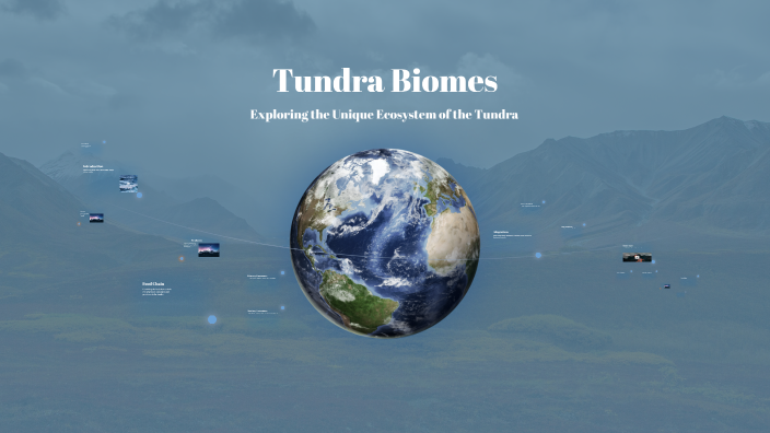 Tundra Biome project by Carter Petretti on Prezi