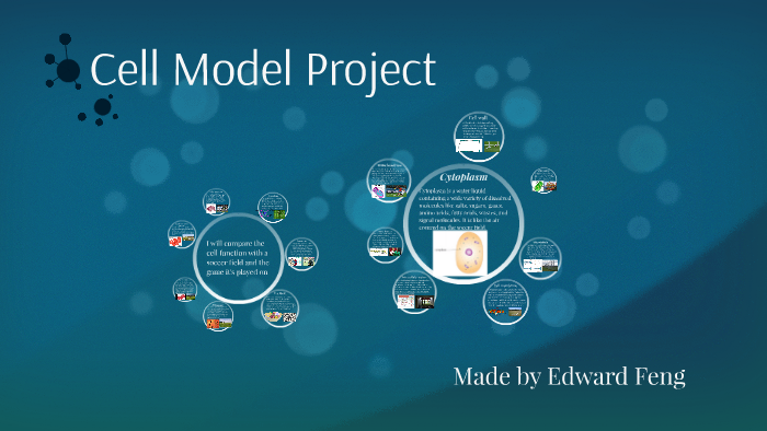 Cell Model Project by Edward Feng on Prezi